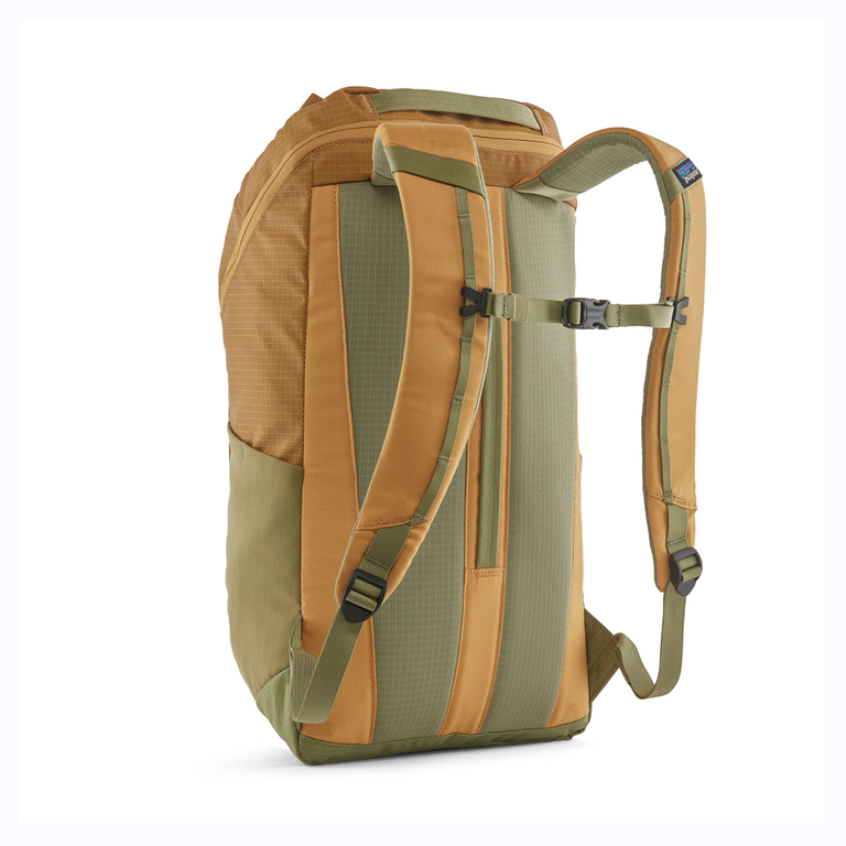 Patagonia Black Hole Pack 32L (Pufferfish Gold) Daypack